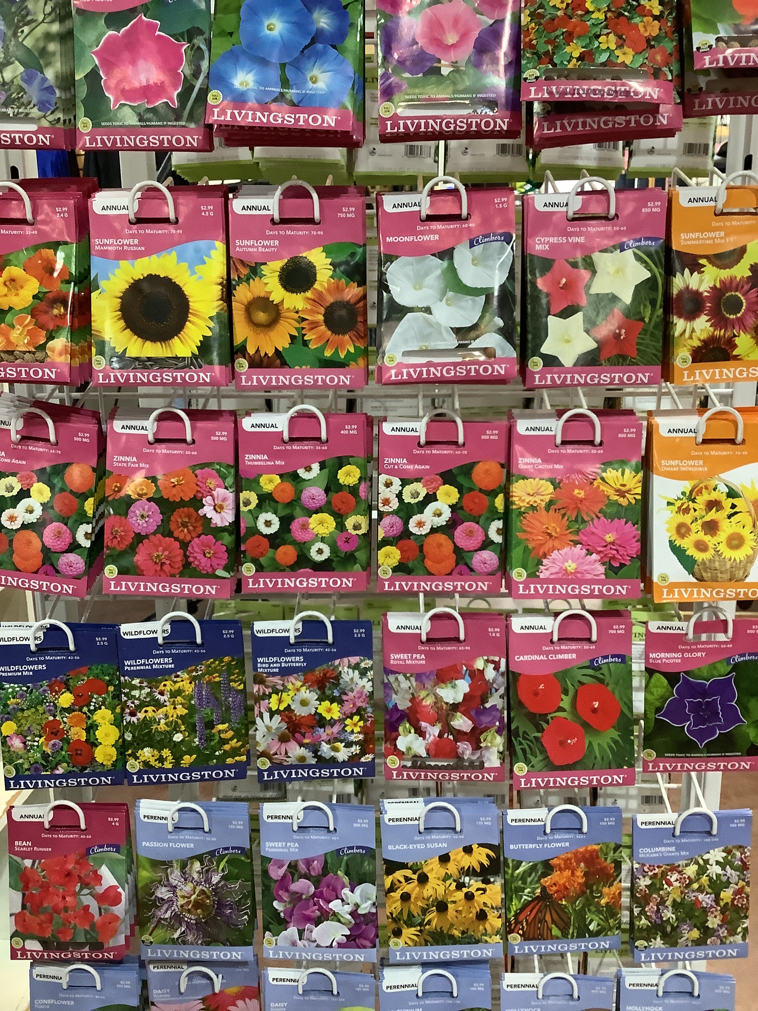 Seed Packets – Green Oasis & Wildflower Boutique